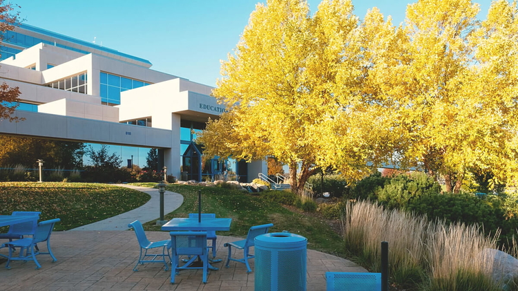 Bachelor's in Business Administration at Bellevue University | Global ...