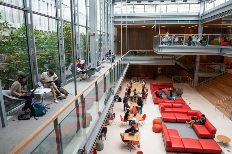 Online Course In Cs50 S Introduction To Databases With Sql At Harvard University Global Admissions