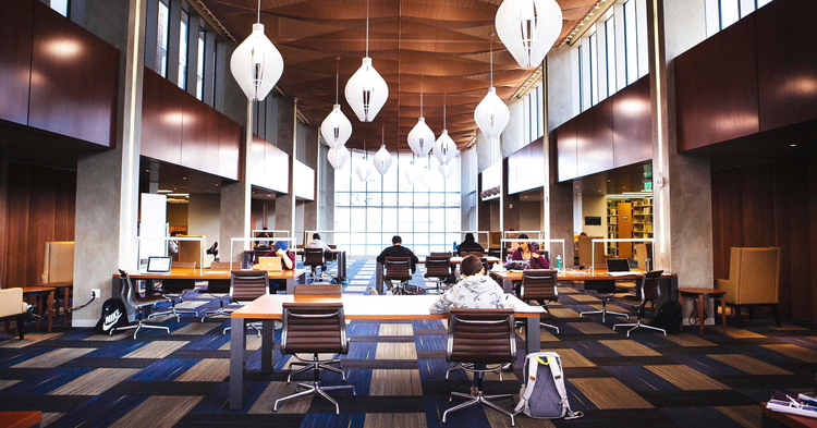 Bachelor's in Art B.A. at University of California, Santa Barbara (UCSB ...