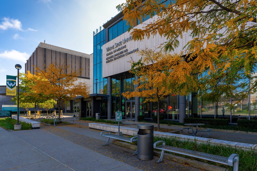 Bachelor's in Art (BFA) - Drawing at Wayne State University | Global ...