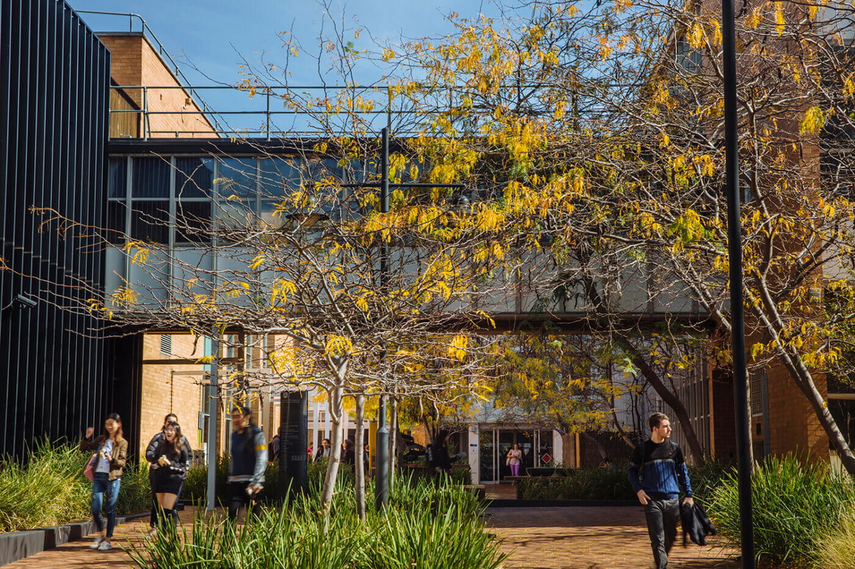 Bachelor's in Pharmaceutical Science Advanced (honours) at Monash ...