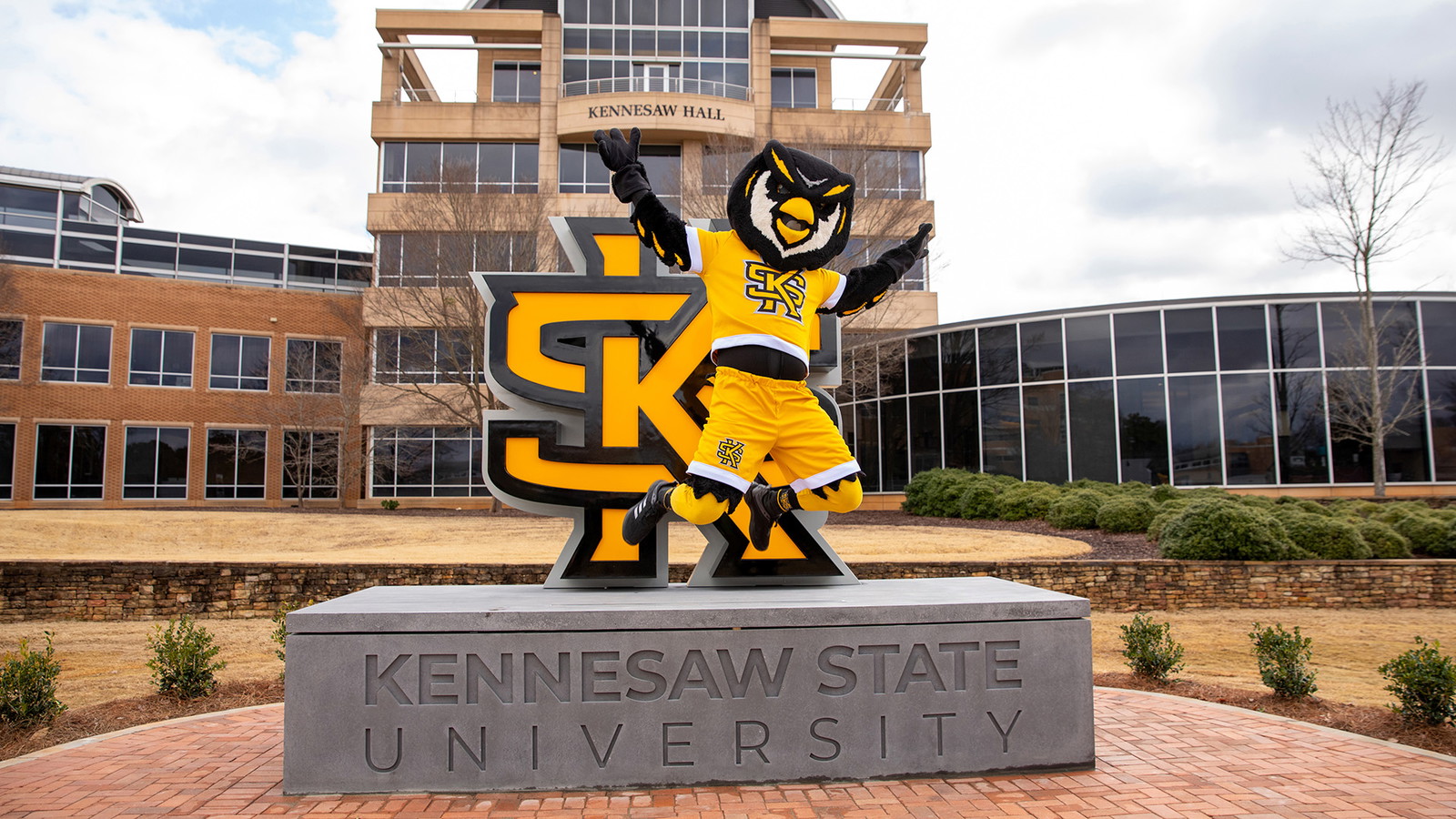 Master in Social Work at Kennesaw State University | Global Admissions