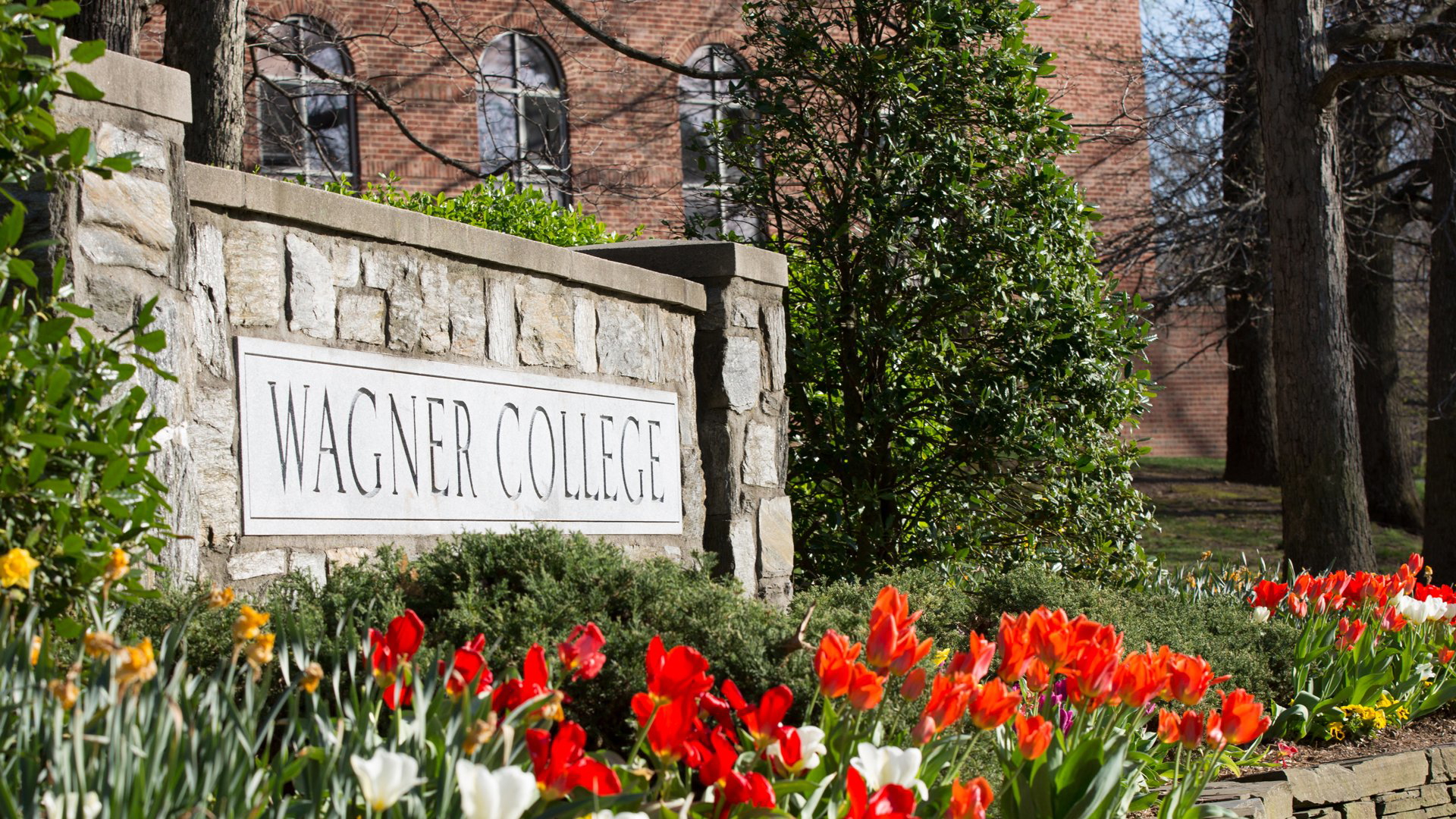 Wagner College International Admissions | Global Admissions